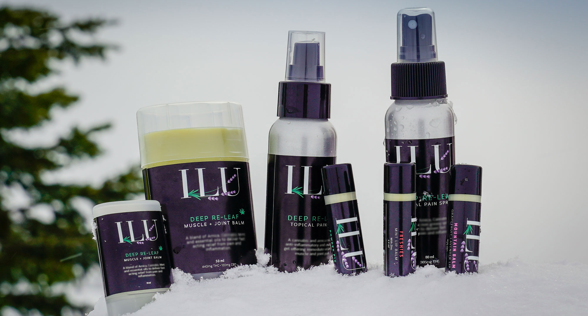 Ilu Botanical Beauty – Natural and organic botanicals